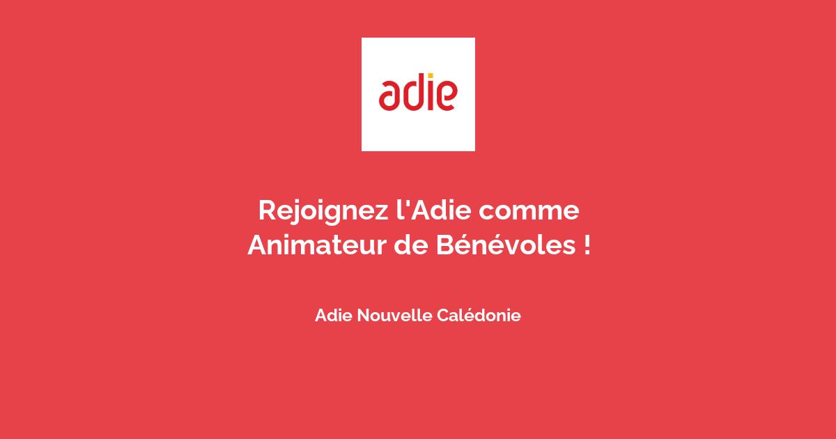 Rejoignez l'Adie comme Animateur de Bénévoles ! avec Adie Nouvelle ...