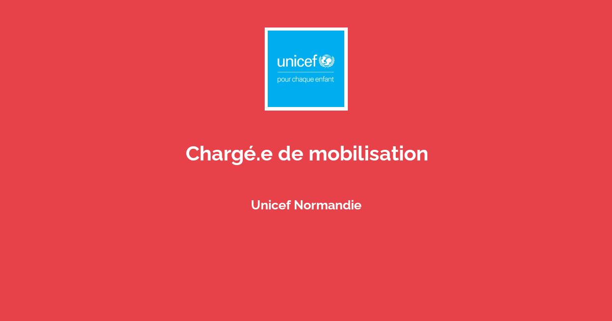 Chargé.e de mobilisation avec Unicef Normandie - Animation