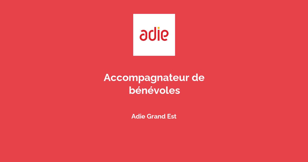 Accompagnateur de bénévoles avec Adie Grand Est - Animation