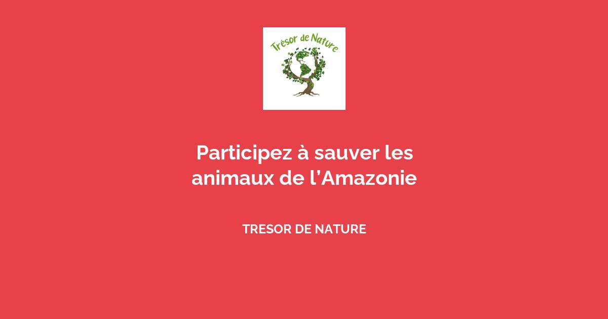 Participez à sauver les animaux de l’Amazonie avec TRESOR DE NATURE ...